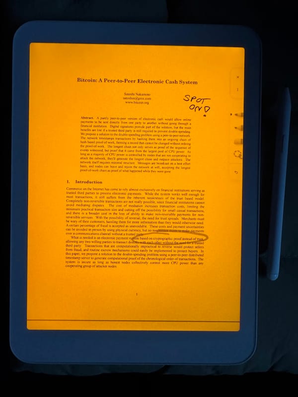 Daylight Computer DC-1: Initial Impressions